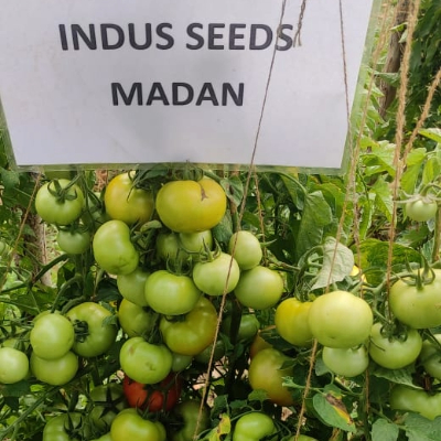 Madeshwara Nursery Farm